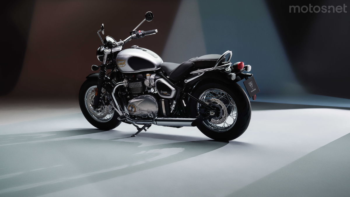 Nueva gama Triumph Icon Edition 2025 | Noticias motos.net
