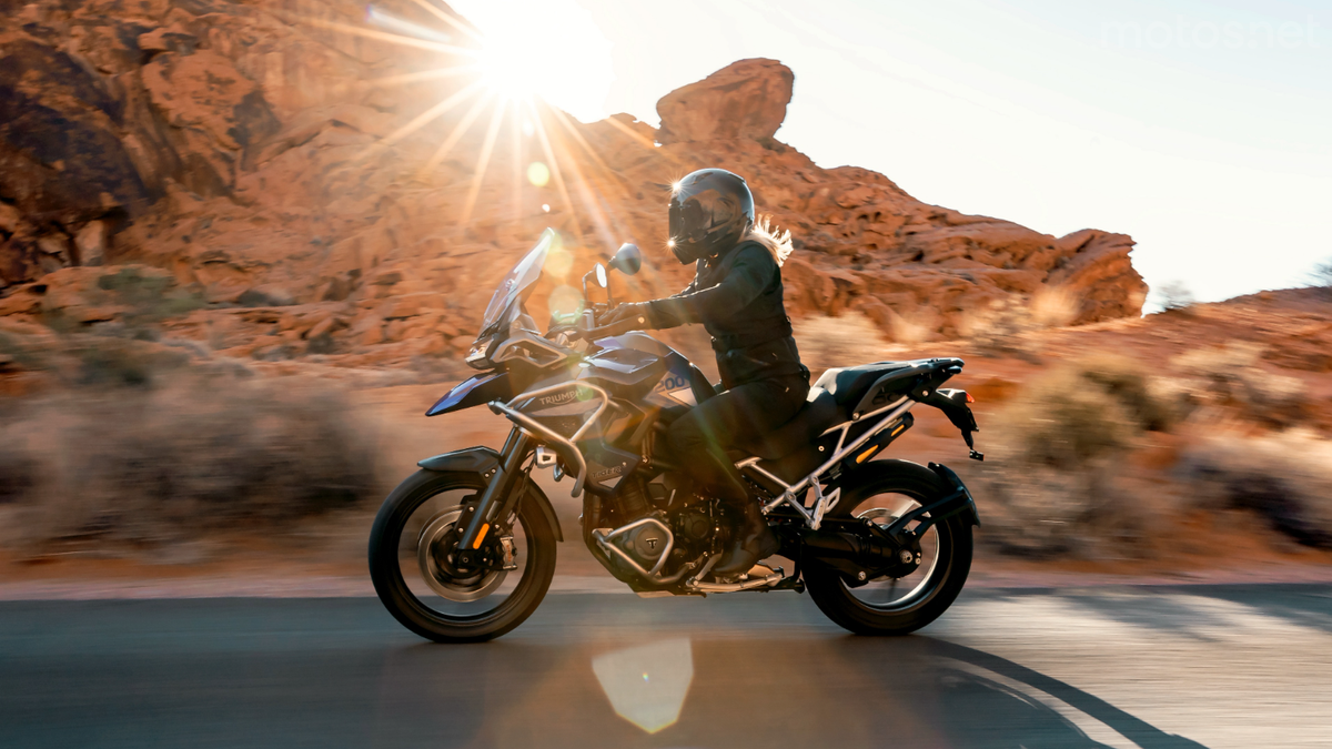 Nueva Gama Triumph Tiger 1200 2024 | Noticias motos.net