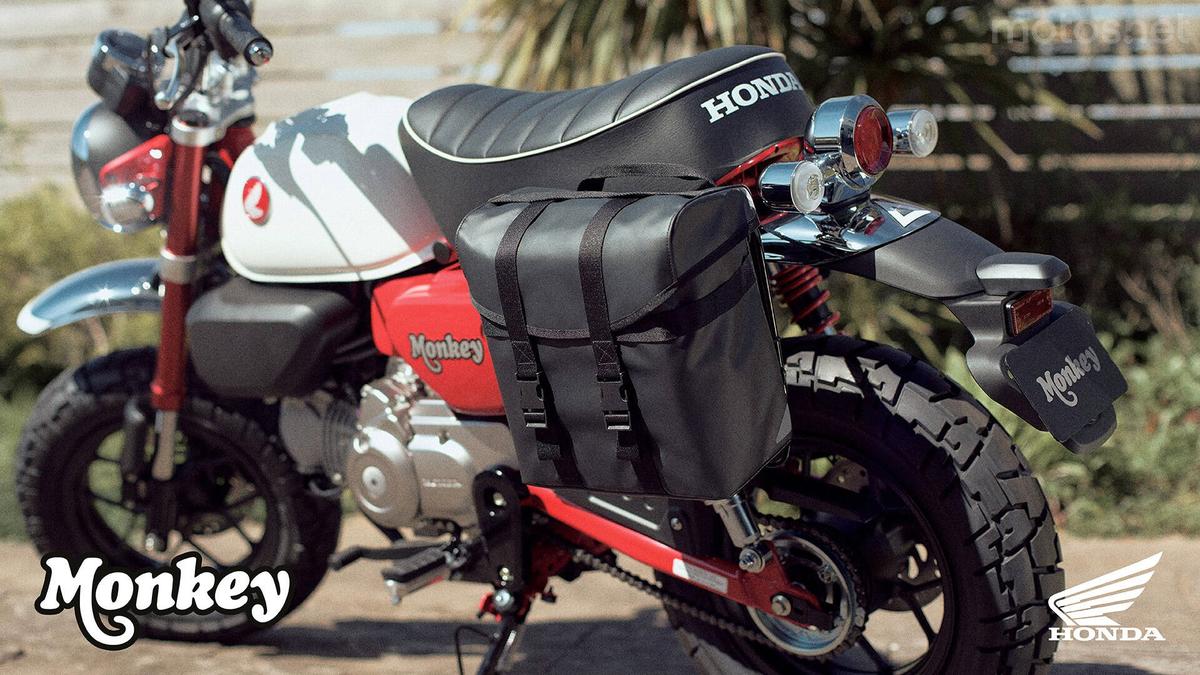 Las Honda Dax, Monkey y Super Cub C125 Euro5+ en 2025 | Noticias motos.net